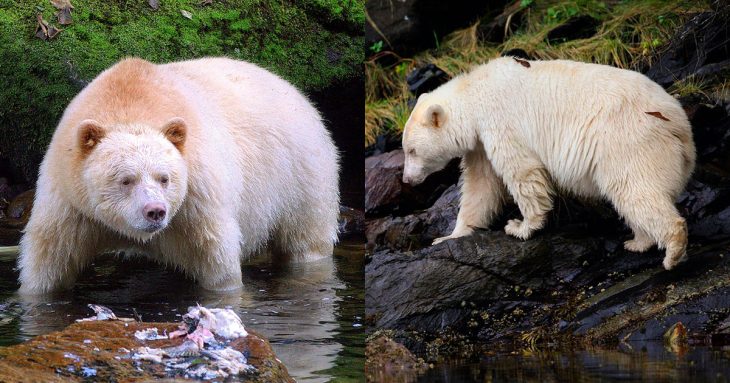 Интересные факты. Фактрум